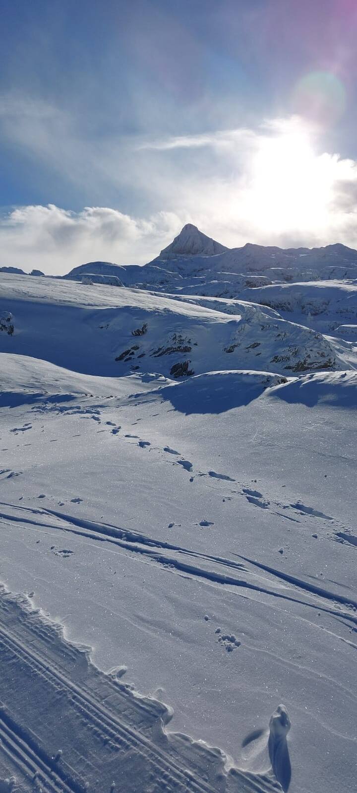 Petite Maison - Pyrénées-Atlantiques