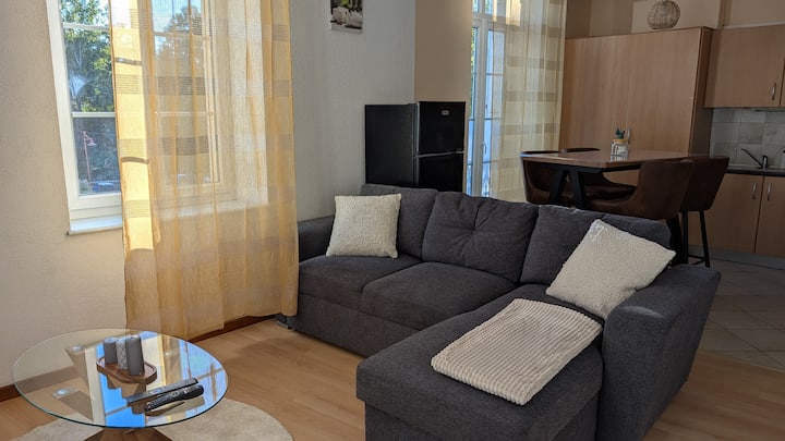 Appartement T2 Lumineux - Blan