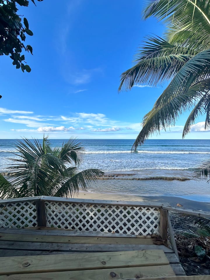 Parrots Nest Beach House-couples Retreat! - Mayagüez