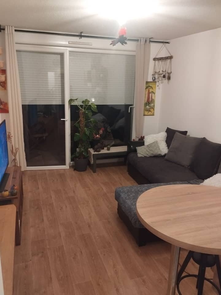 Appartement - Lingolsheim