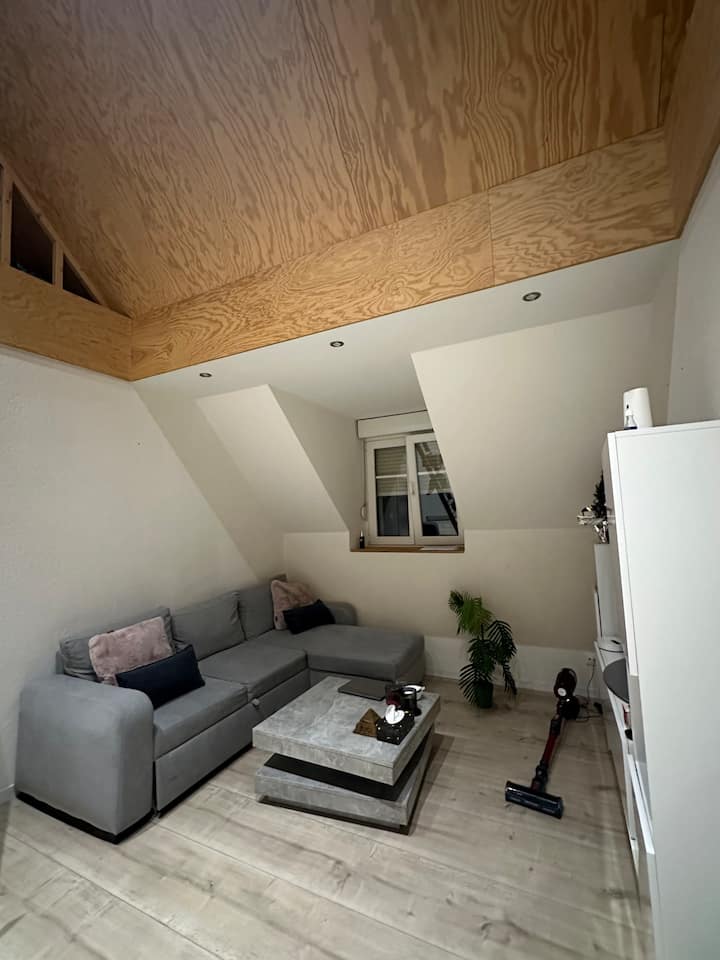 Bel Appartement Proche Suisse - Le Locle