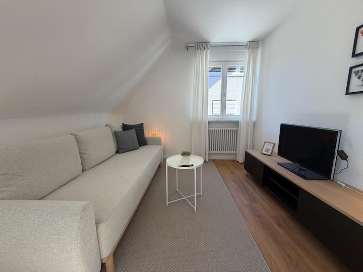 Komfort-city-apartment - Oberteuringen