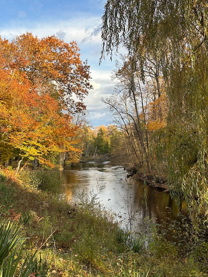 Surrounded By The River! West Of Baldwin Michigan - Michigan