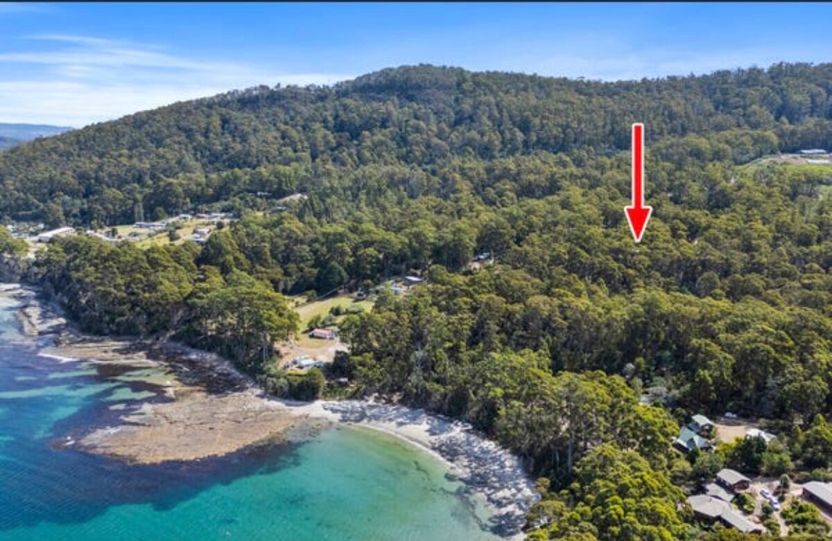 Le petit pingouin - Pirates Bay, Eaglehawk Neck - Airbnb