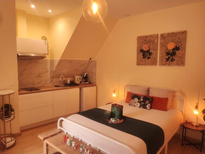 Le Cocon Doré, Havre De Paix En Plein Centre Ville - Poitiers