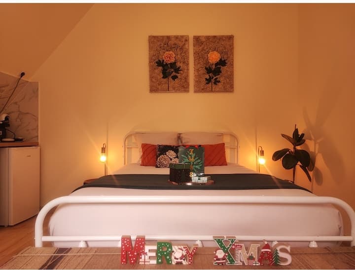 Le Cocon Doré, Havre De Paix En Plein Centre Ville - Poitiers