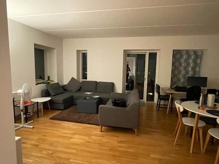 Good Apartment For Rent - Kopenhagen