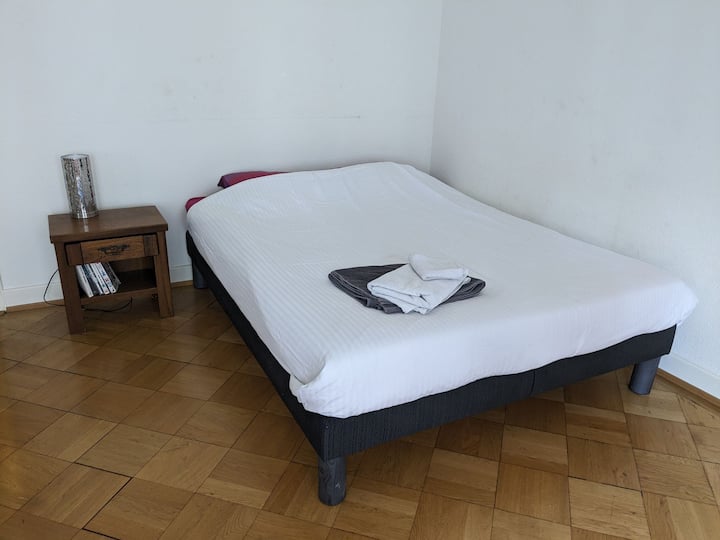 Geneva Center Private Appartment - 제네바