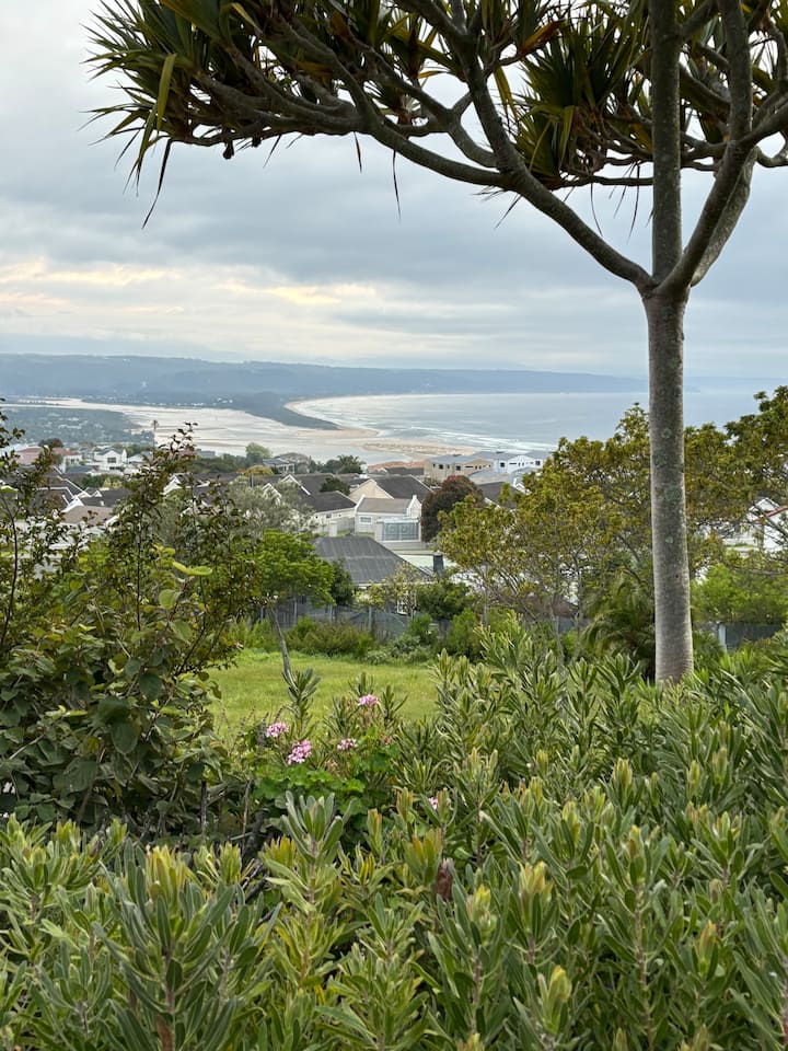 Dolphin Beach House On The Hill - Plettenberg Bay