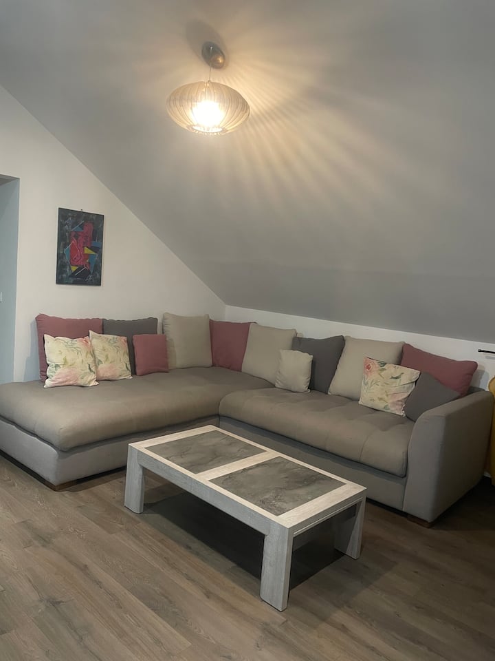 L’arbre Du Voyageur : Grand T3 - La Réunion