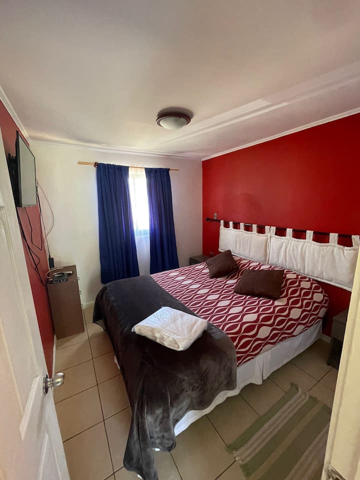 Eucaliptus Maitencillo - Zapallar