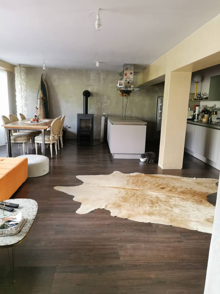 Offene Loft Wohnung Im Grünen - Altenkirchen