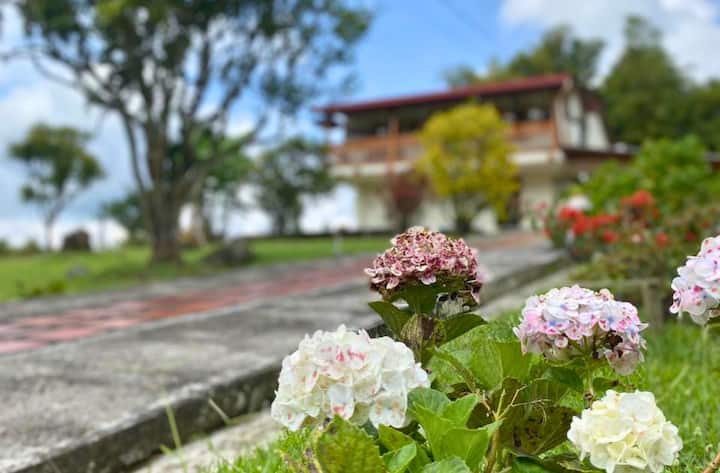 Jardin Life And Travel - Jardín