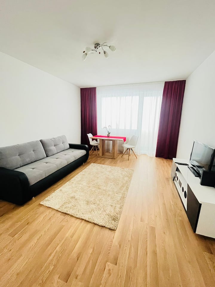 Magnifique Appartement - Linz