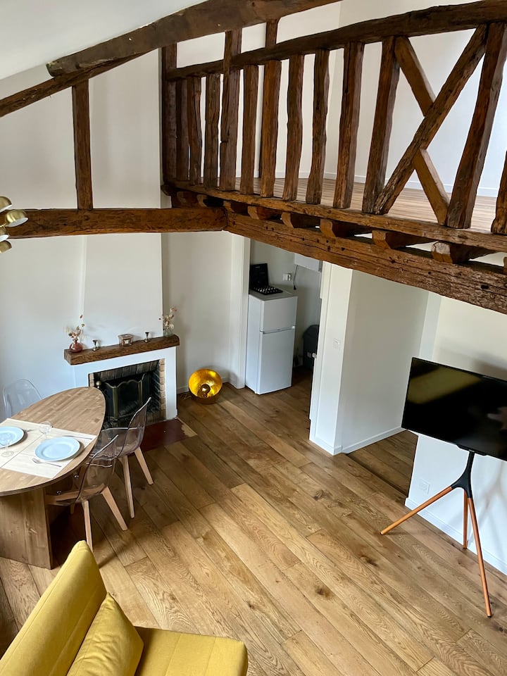 Duplex Près De Notre-dame, Coeur Du Quartier Latin - Paris