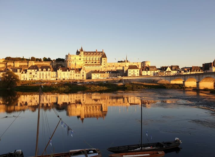 Ilot De Verdure Face Au Chateau - Amboise