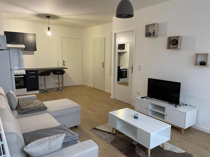 Appartement Cosy Bien Placé|paris|cdg|bourget|rerb - Le Blanc-Mesnil
