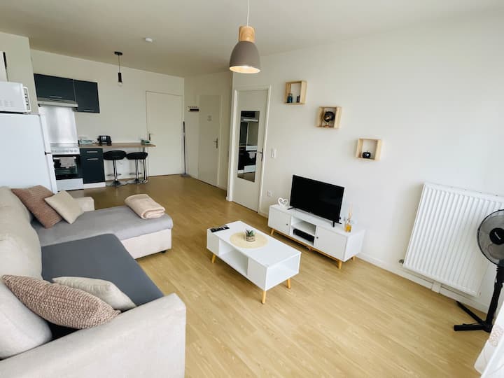 Appartement Cosy Bien Placé|paris|cdg|bourget|rerb - Bobigny