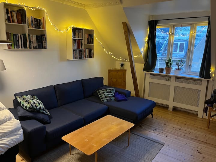 Nice Place In Christianshavn - Kopenhagen