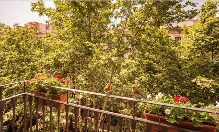 Emplac. Idéal, Juste à Côté De La Vieille Ville - Barcelona