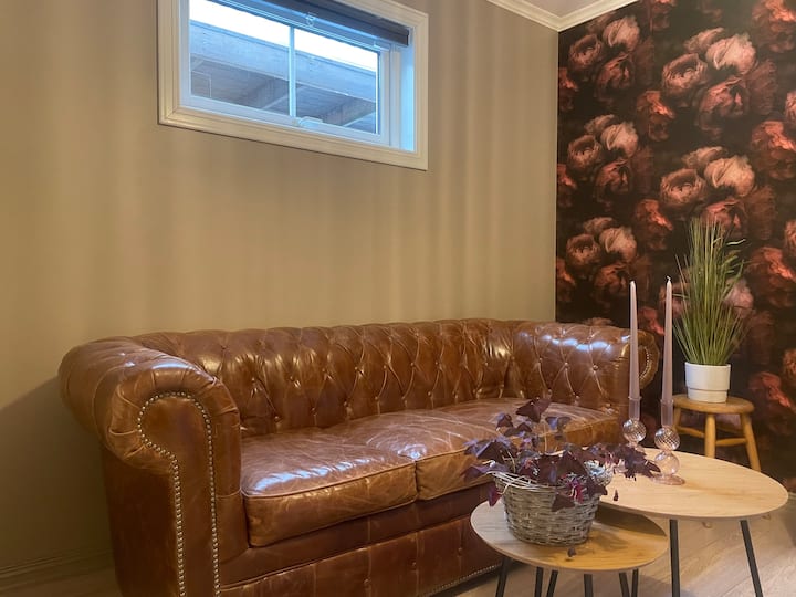 Beautiful Central Room With Parking For Rent! - Oslo