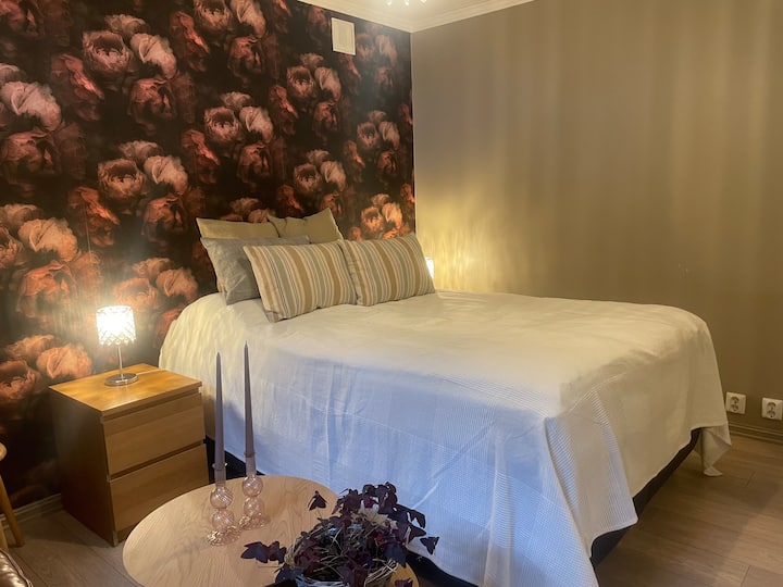 Beautiful Central Room With Parking For Rent! - Oslo
