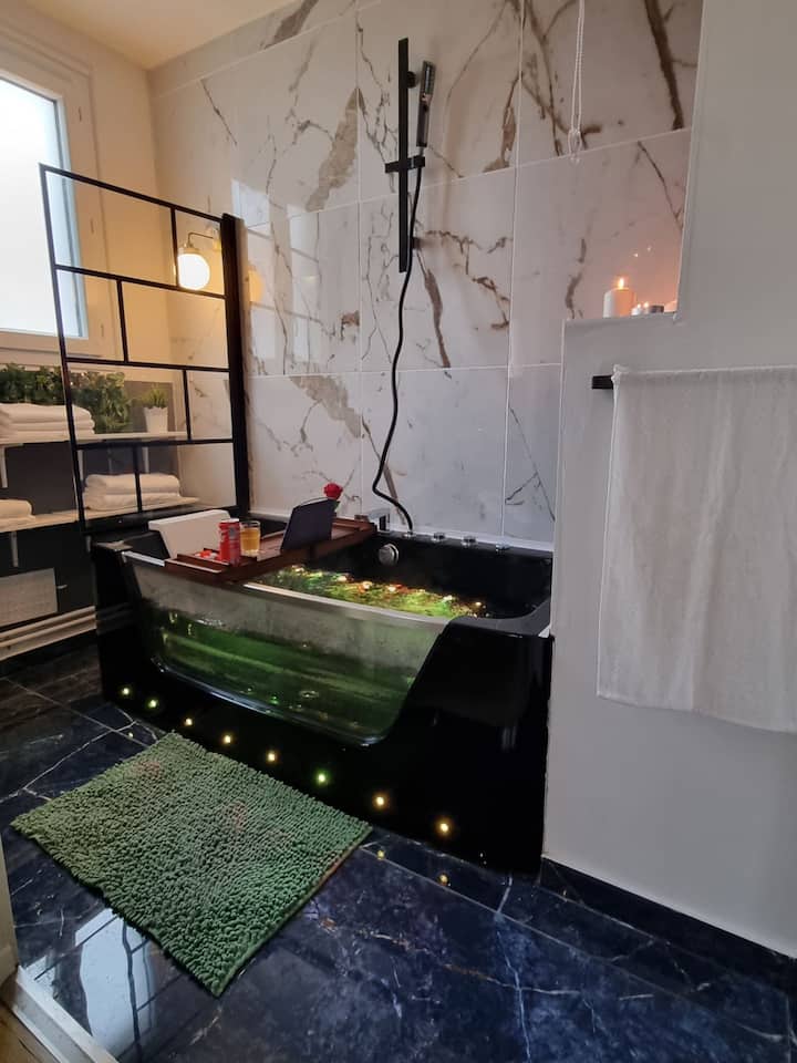 Bel Appartement à Tours Centre, Vue Sur Cathédrale - Tours