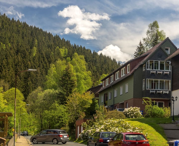 Tannenhügel Residenz (3-room Appartment) - Harz