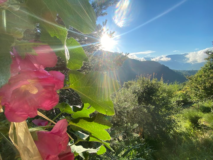 Huttli, Tente Dans Les Arbres. - Menton