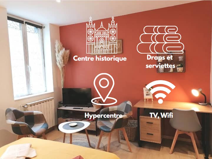 Studio Rénové 25 M2 Centre Historique - Rodez
