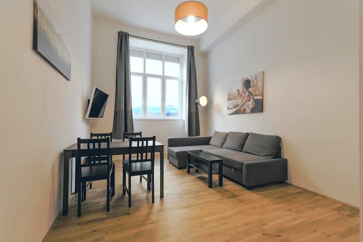 Modern Apartement In Central Vienna - Vienna