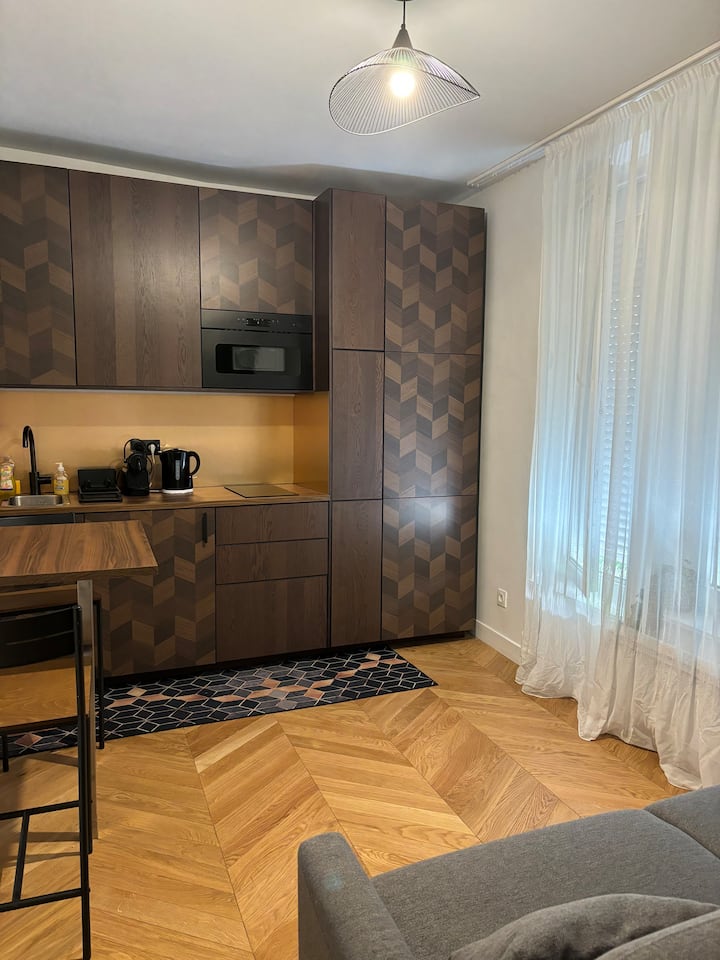 Studio Tour Eiffel - Invalides - Rue St Dominique - Paris