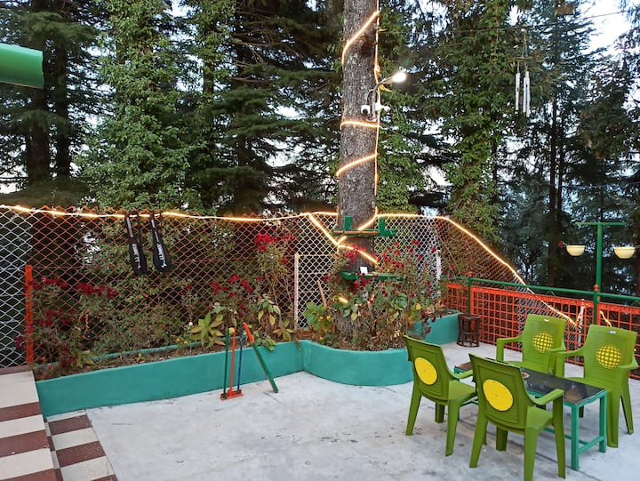 Tikoos Peak & Pine - Dalhousie