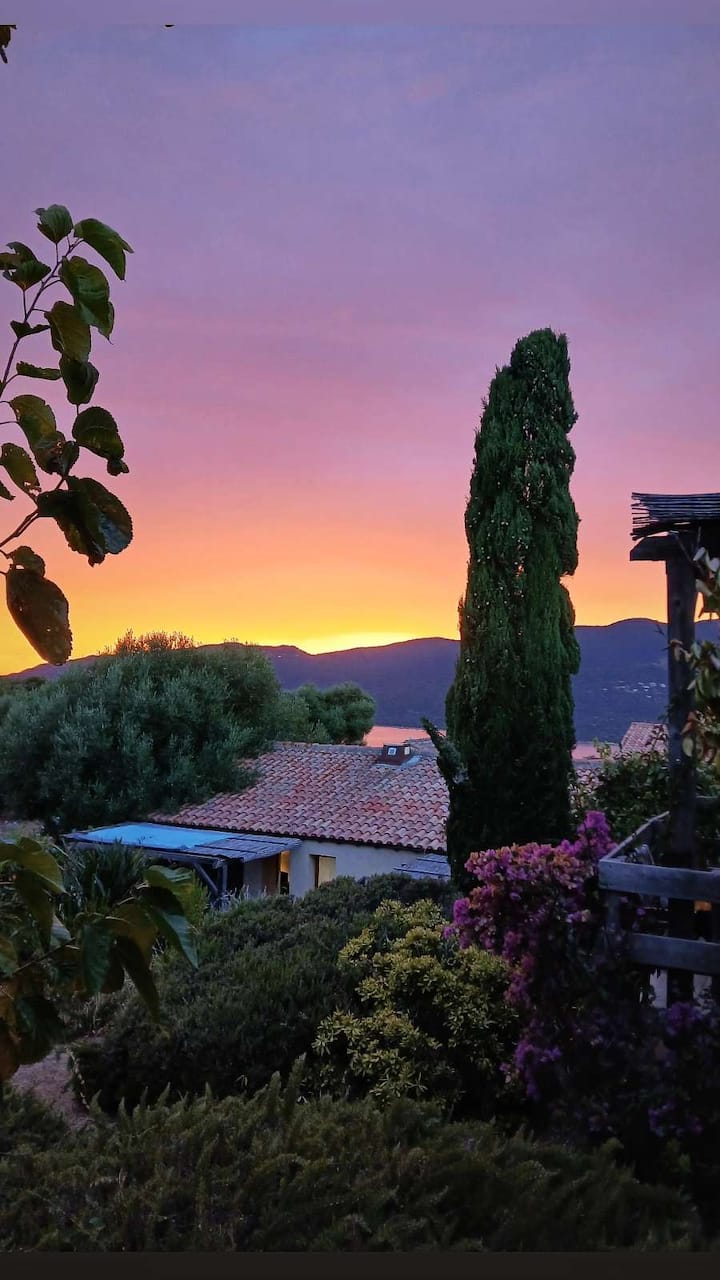Mini Villa En Résidence  Avec Piscine - Corsica