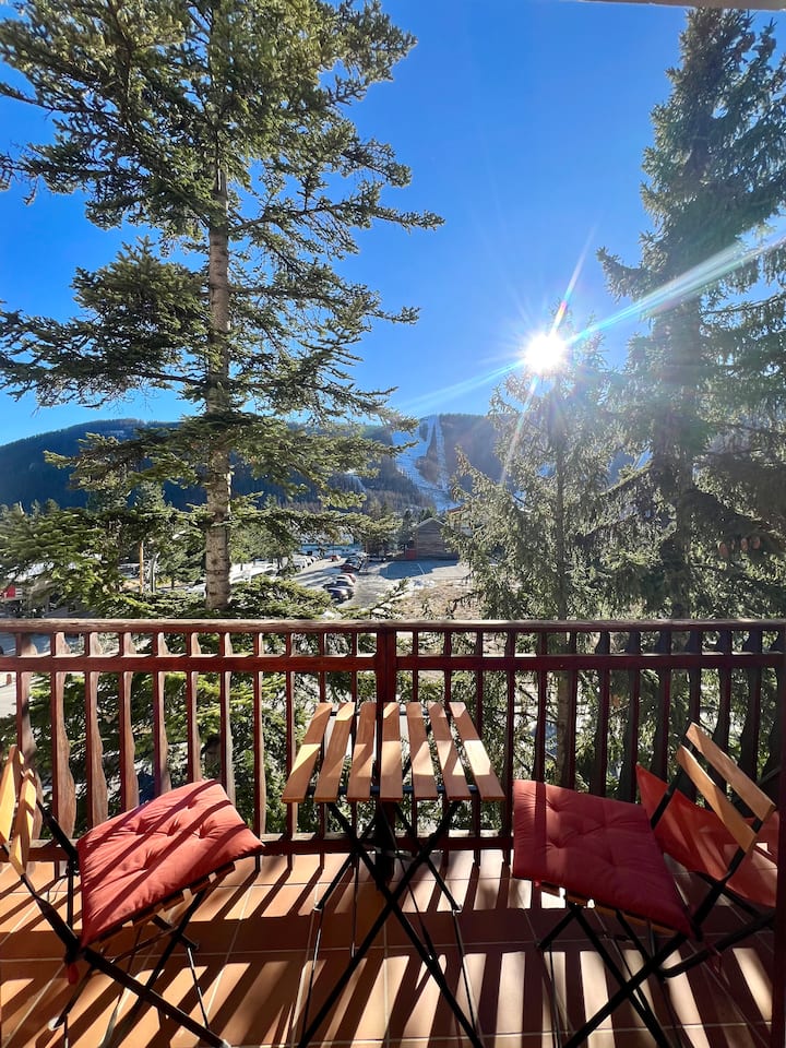 Duplex De Charme - Auron Village - Auron