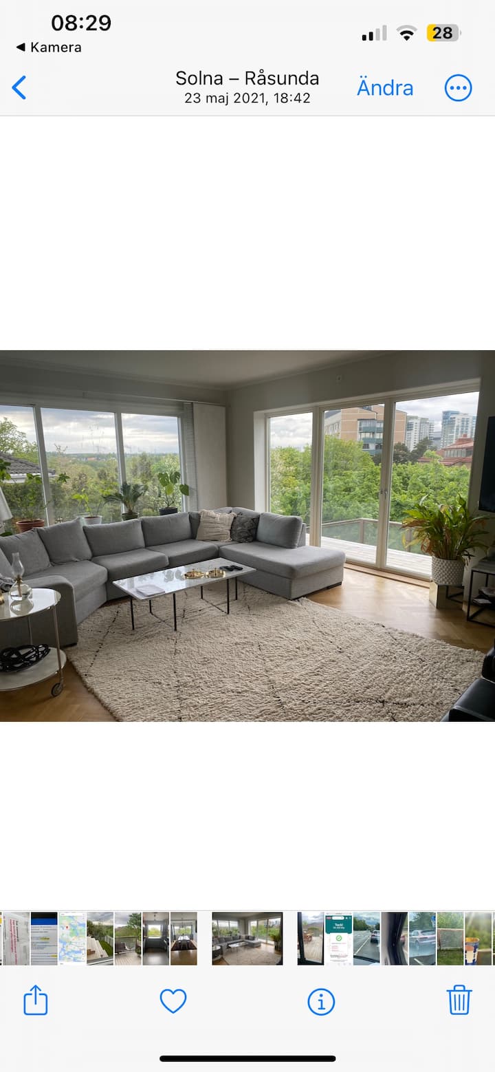 Magisk Hus I Trädkronorna - Stockholm