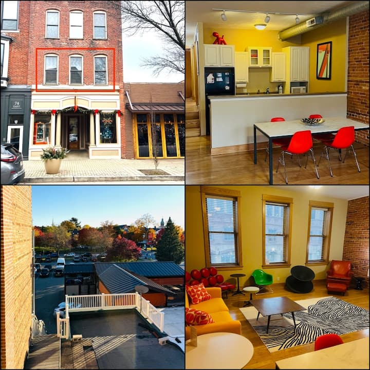 Downtown Roof Top Loft #201 - Holland, MI