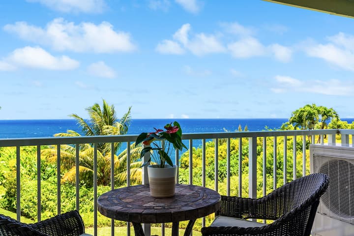 Alii Kai 7201: 2br Oceanview W/ Full A/c - Kepuhi Beach, HI