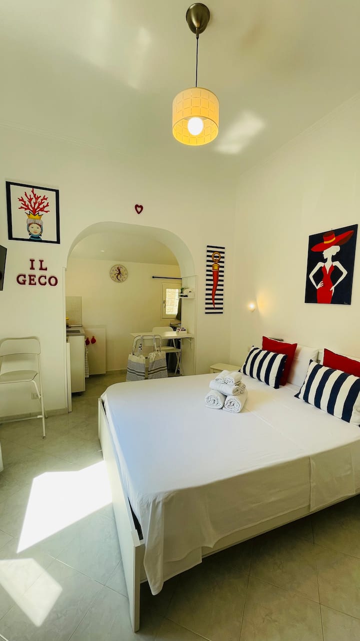 Il Geco - Relax A Sorrento A Pochi Metri Dal Mare - Sorrente