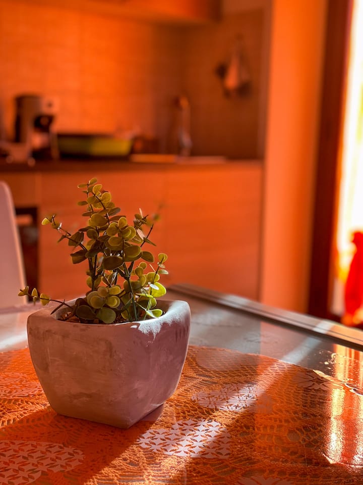 Flowers & Angels Home - Tulipano - Assisi