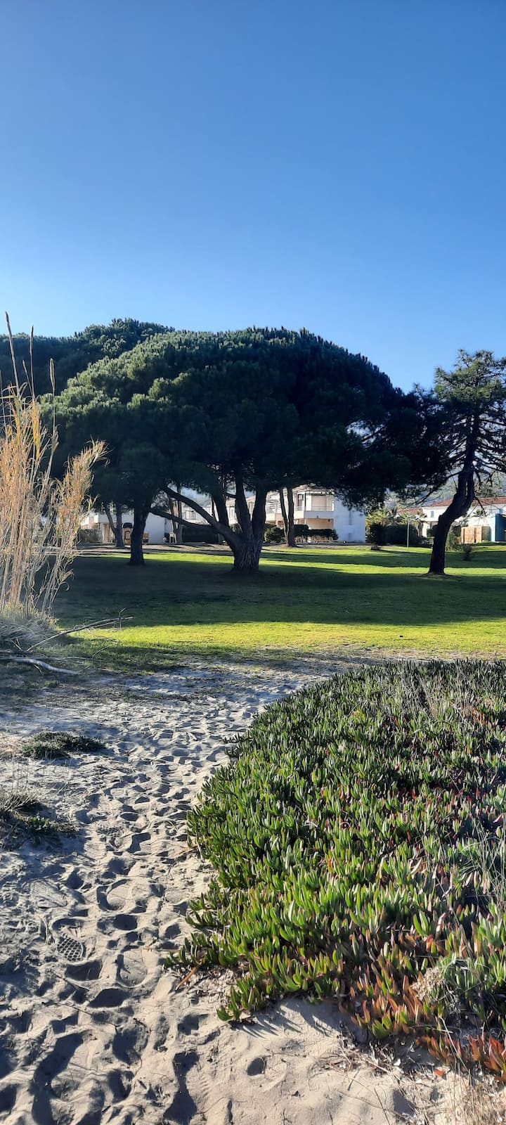 Location Les Pieds Dans L'eau à Poggio-mezzana - Plage de Santa-Lucia-di-Moriani