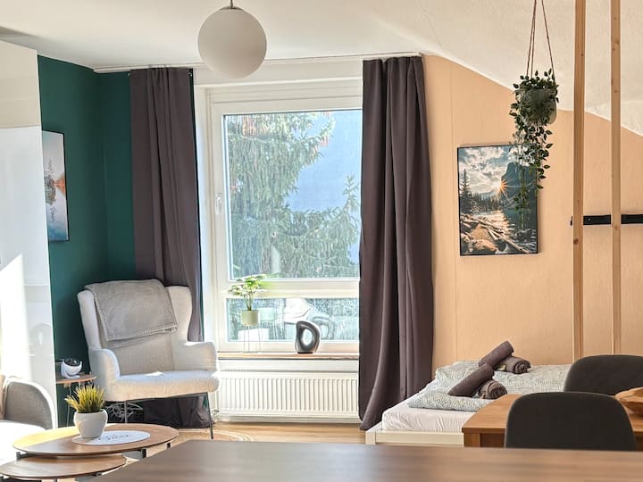 Modernes Studio An Der Bummelallee | Duke - Harz