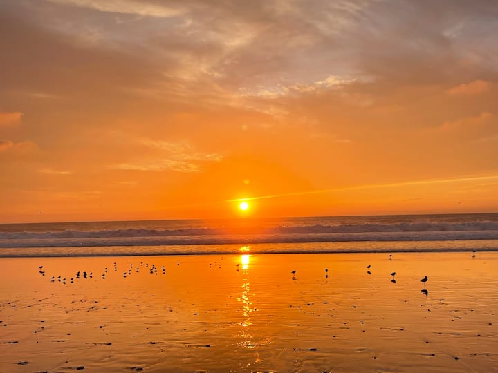 Lucy In The Sky W Pier View - Rosarito