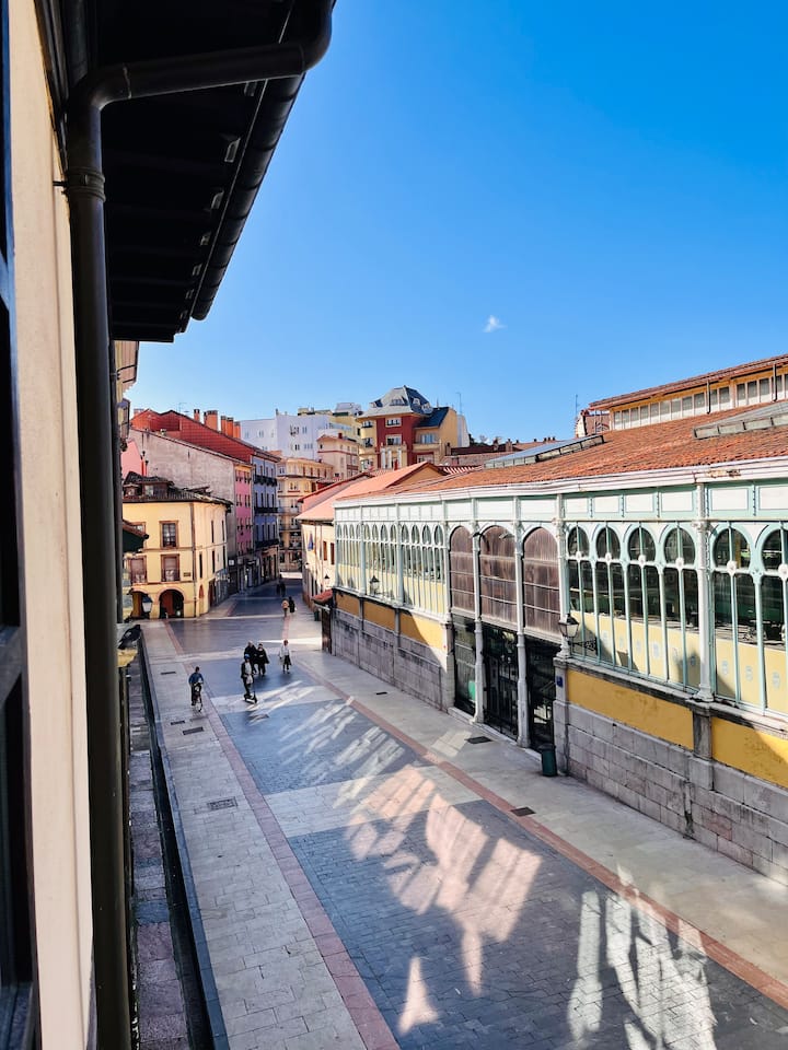 Apto. Plaza Del Fontan F1 - La Casina De Rodri - Oviedo
