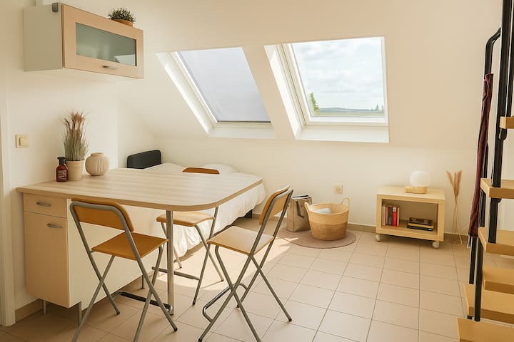 Knusse Duplex Op Wandelafstand Van Leuven Centrum - Leuven (Louvain)