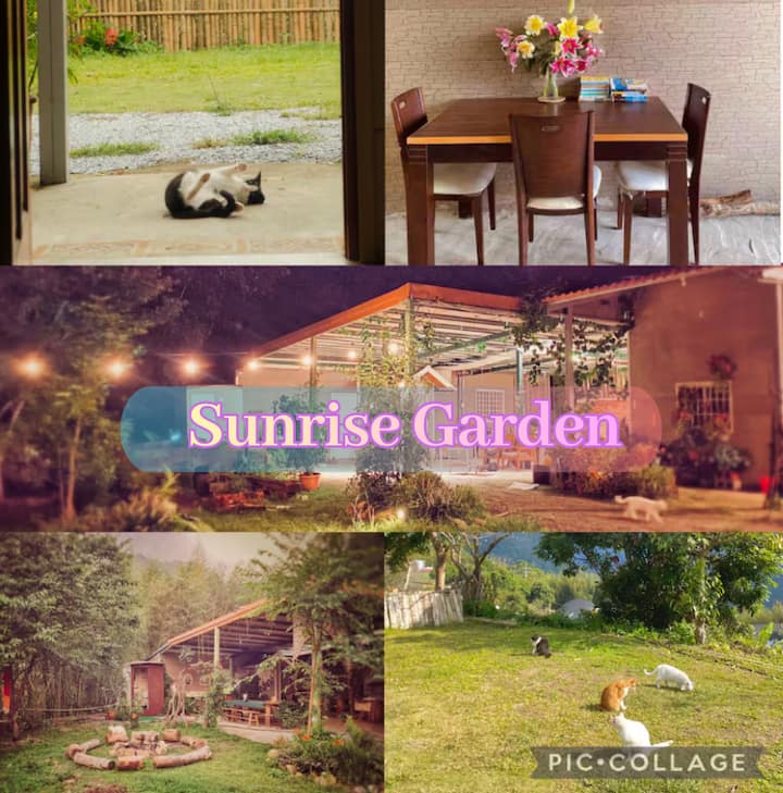 山中の療癒所｜Into The Silent Oasis - Alishan Township