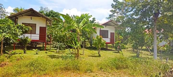 Bungalows - Tarapoto