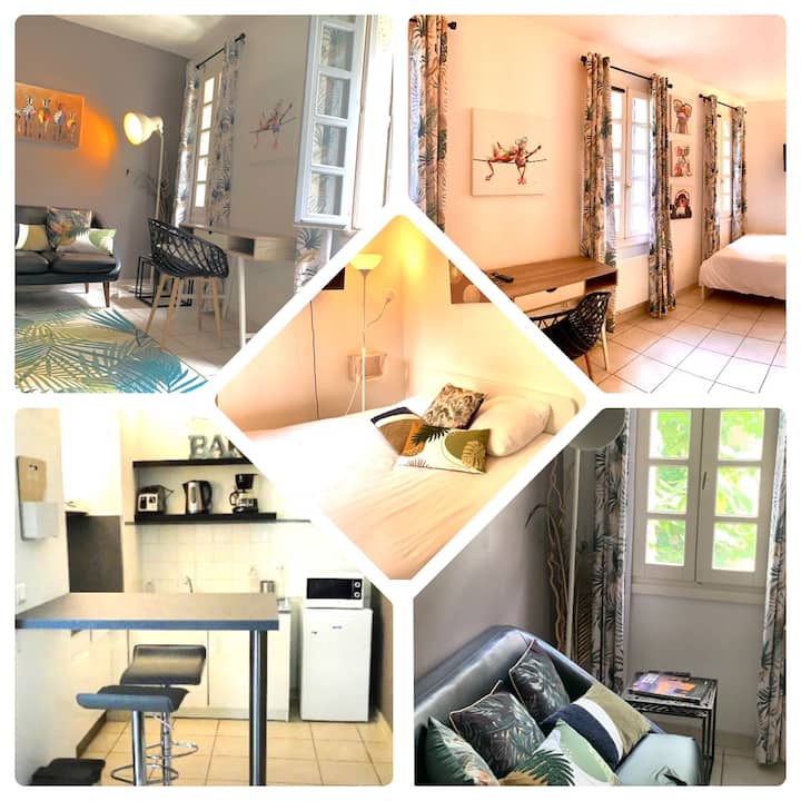 Grand Studio Central Corum Comédie - Montpellier