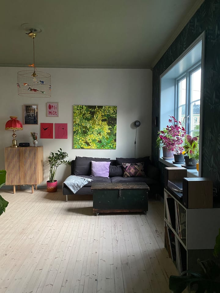 Cozy, Sentral Appartment - Oslo