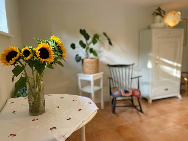 Hyggelig Lejlighed Tæt På Byen - Odense